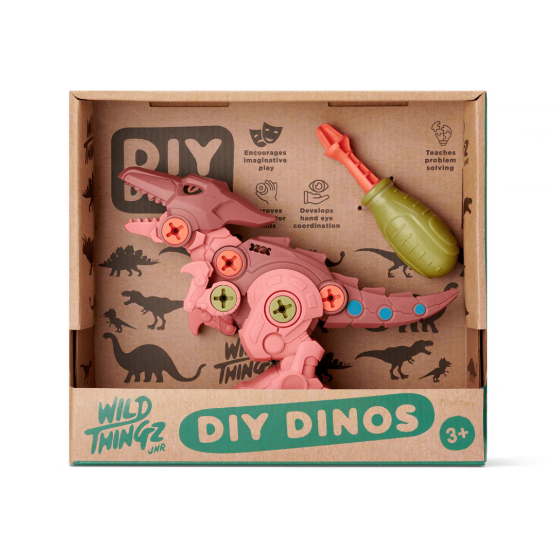 Johnco - Wild Thingz - DIY Dino | Pterosaur – K and K Creative Toys