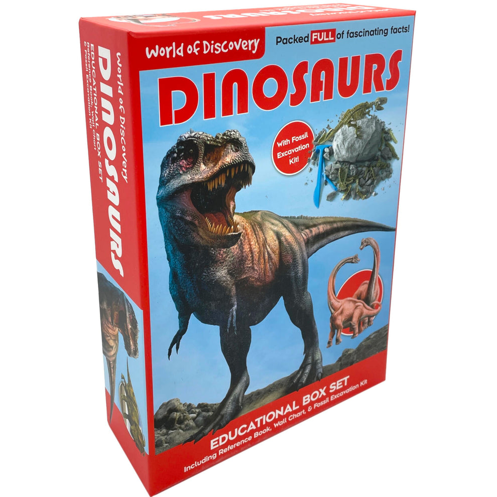 World of Discovery - Discover Dinosaurs Box Set – K and K Creative Toys